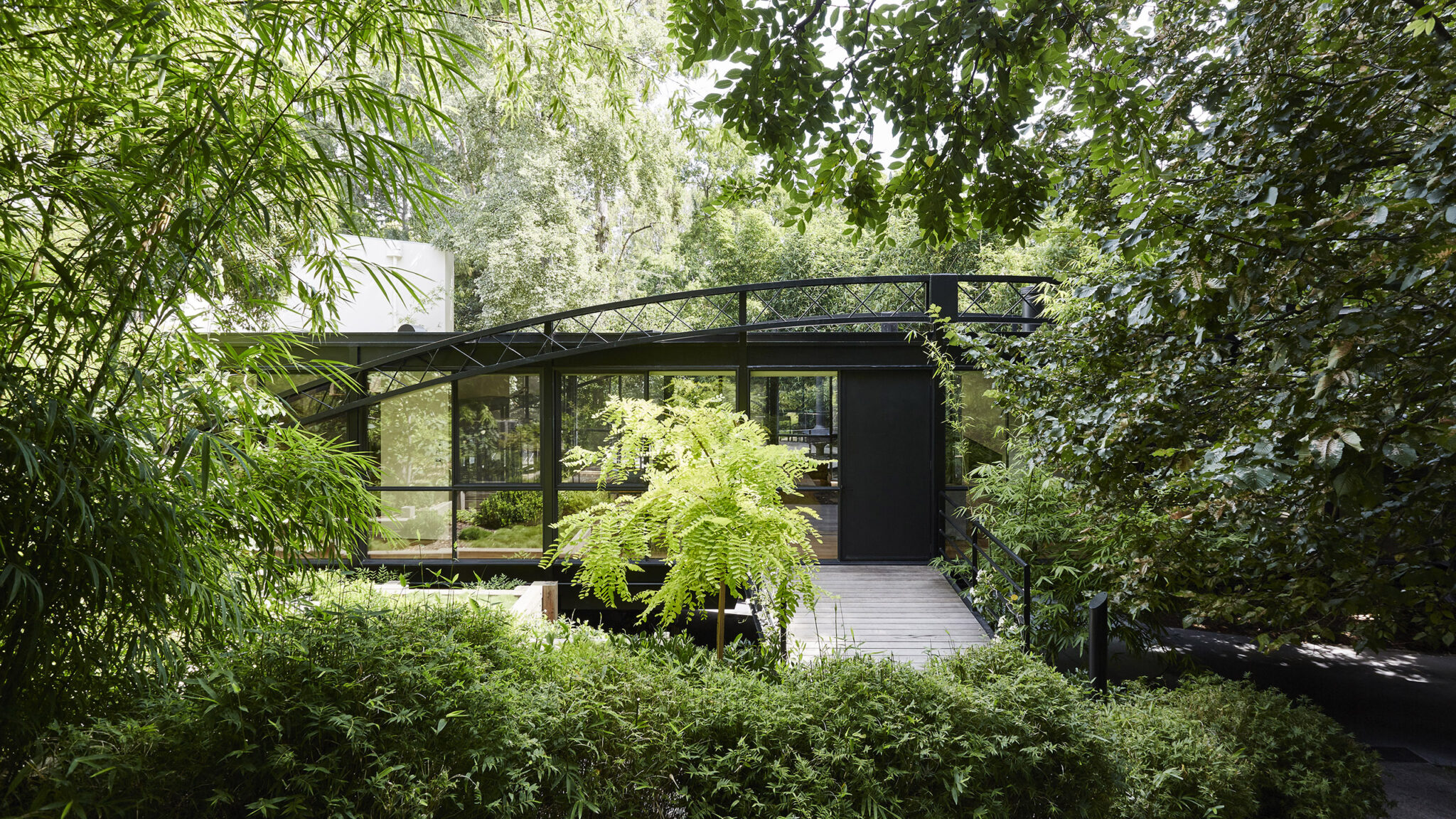 Bridging Boyd. - Jolson